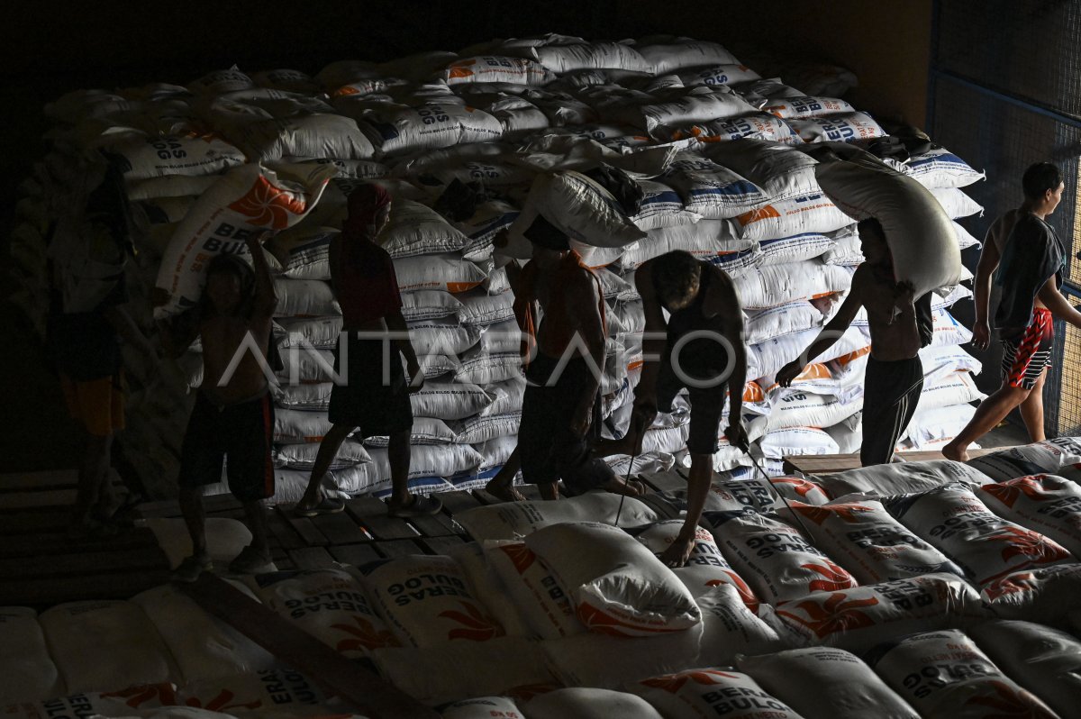 Stok cadangan beras nasional aman hingga Juni 2024 | ANTARA Foto