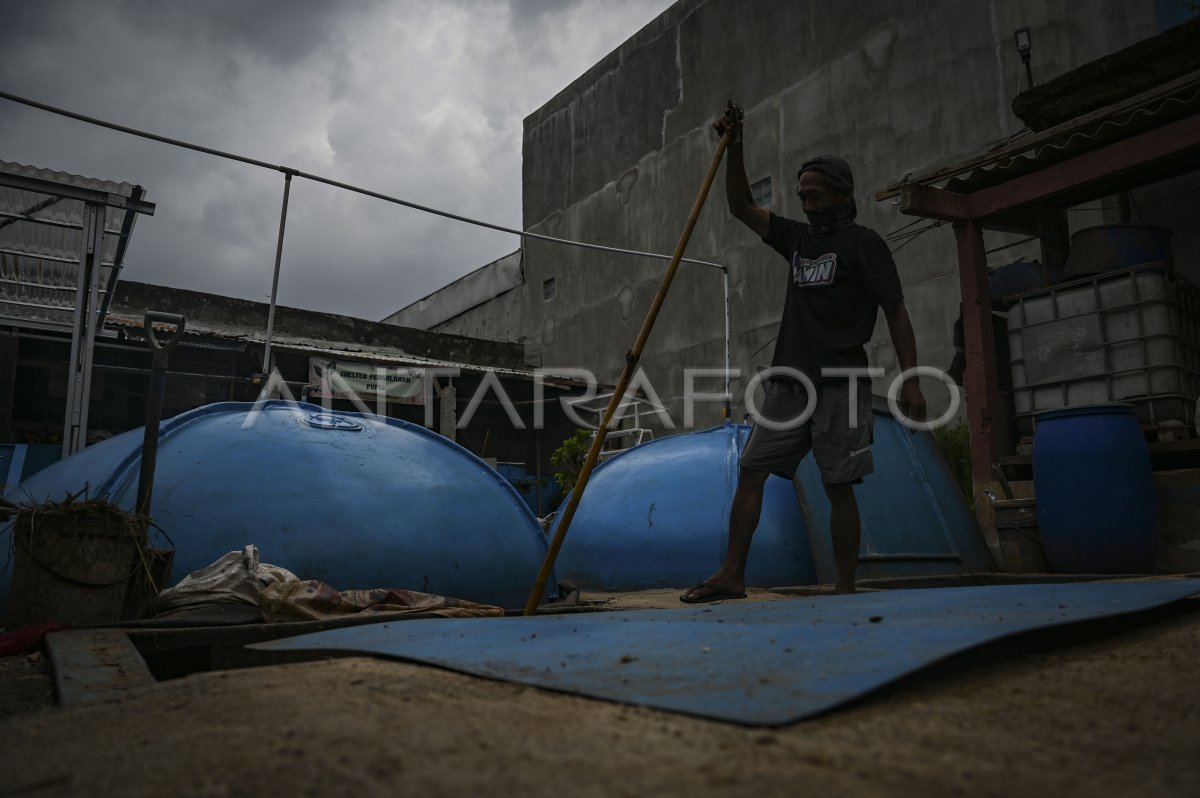 Pemanfaatan limbah kotoran ternak jadi energi biogas di Jakarta ... Pemanfaatan limbah kotoran ternak jadi energi biogas di Jakarta ...
