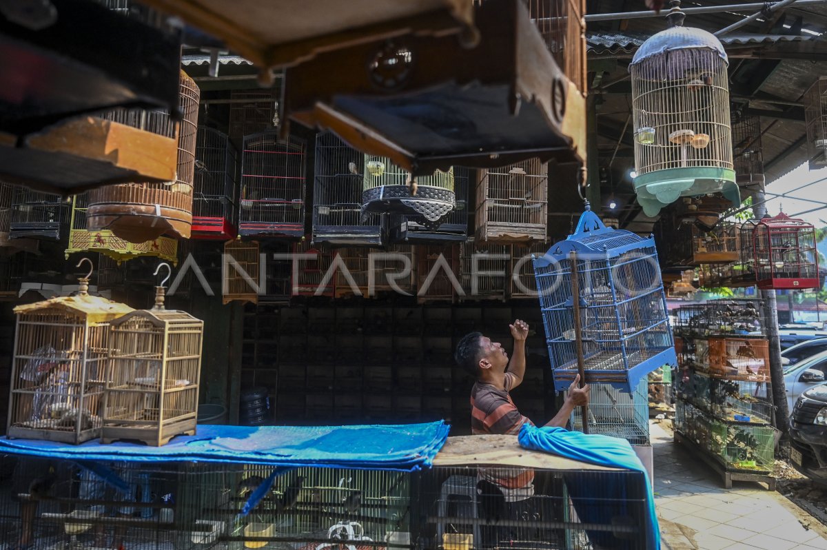 Pasar Burung Pramuka Jakarta | ANTARA Foto