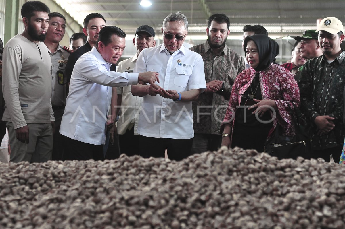 Pelepasan ekspor pinang ke Arab Saudi dan Bangladesh | ANTARA Foto