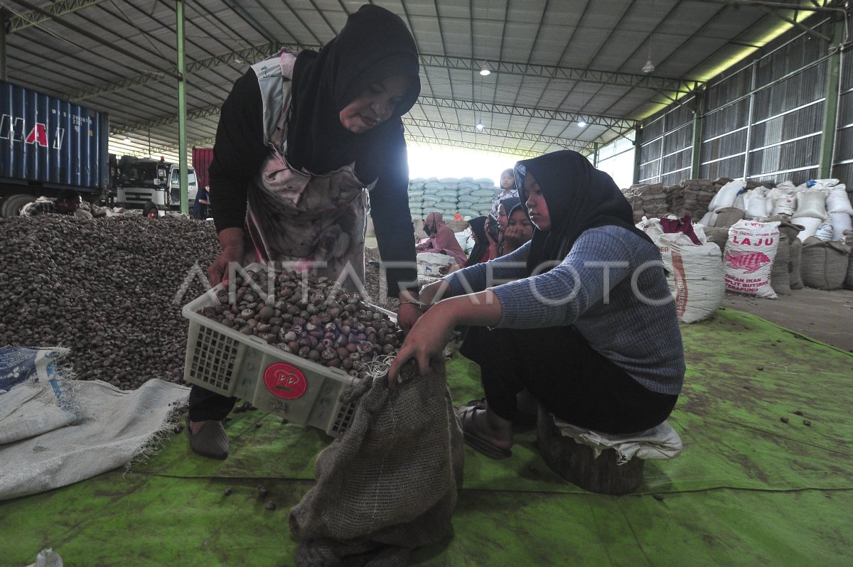 Pelepasan ekspor pinang ke Arab Saudi dan Bangladesh | ANTARA Foto