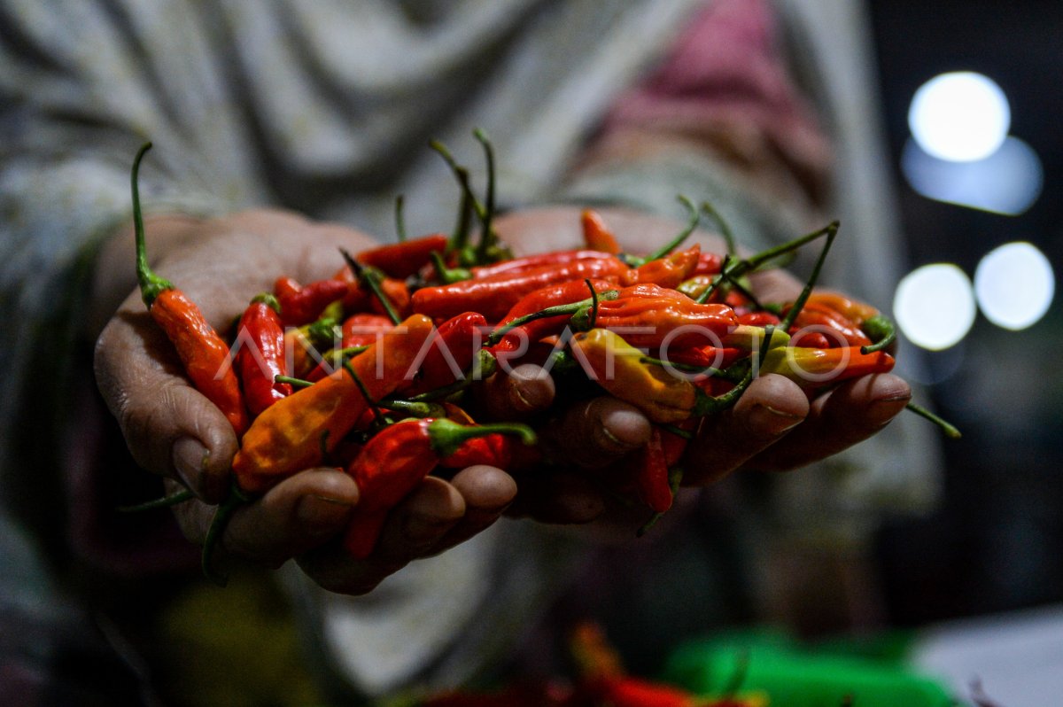 Harga cabai rawit merah naik di Bandung | ANTARA Foto