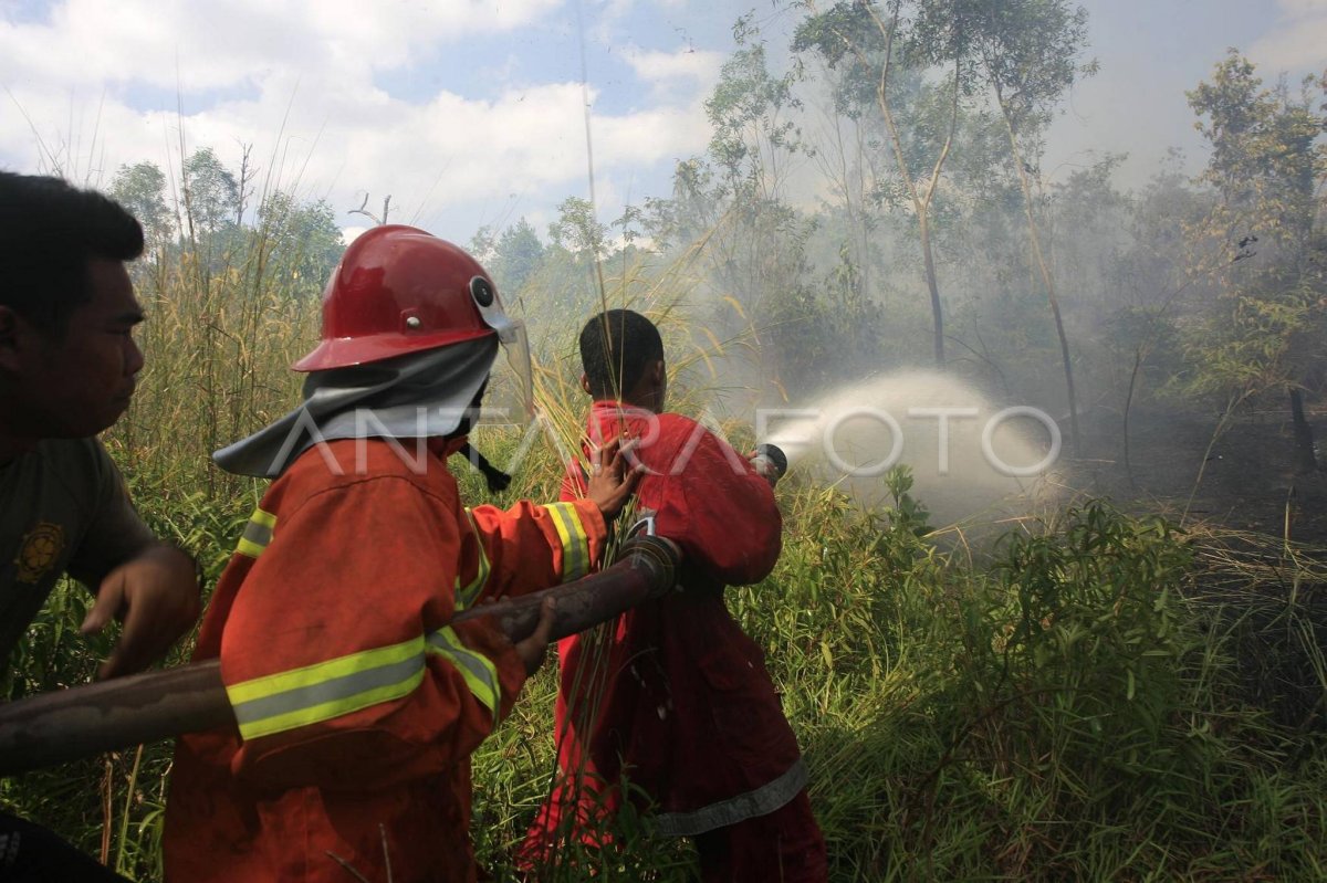 KEBAKARAN HUTAN | ANTARA Foto