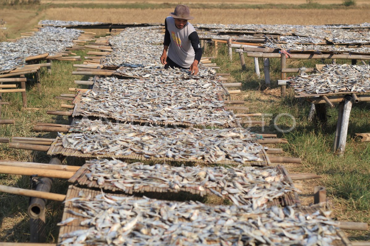 PRODUKSI IKAN ASIN | ANTARA Foto