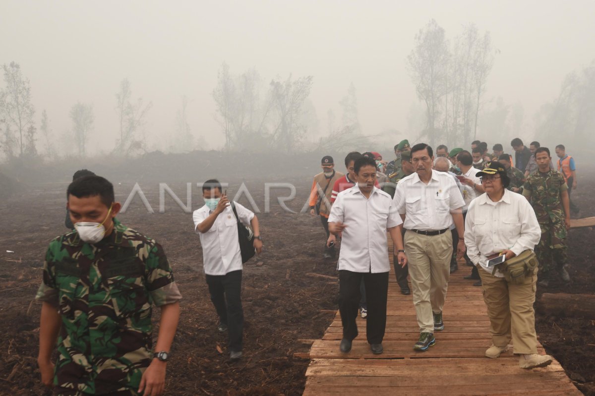 TINJAU LOKASI KEBAKARAN HUTAN | ANTARA Foto TINJAU LOKASI KEBAKARAN HUTAN | ANTARA Foto
