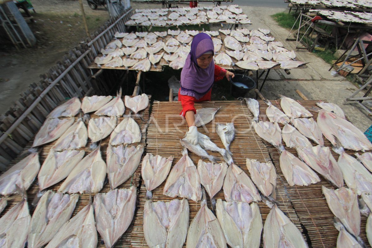 PRODUKSI IKAN ASIN | ANTARA Foto