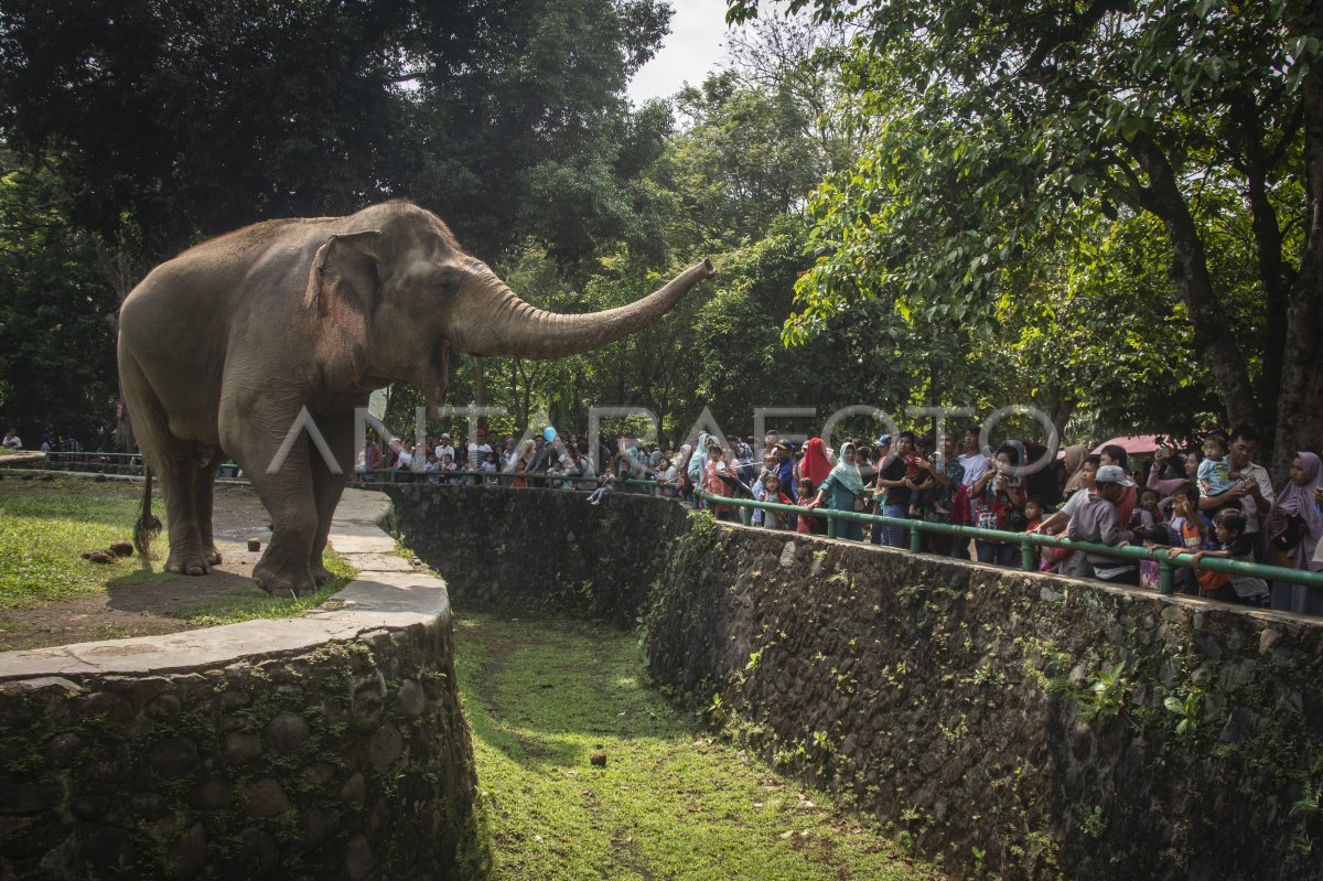 WISATAWAN PADATI RAGUNAN | ANTARA Foto WISATAWAN PADATI RAGUNAN | ANTARA Foto