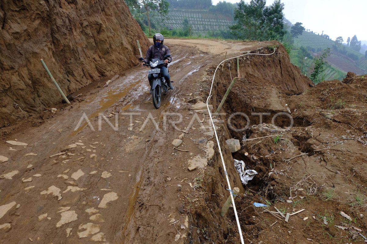 JALAN ALTERNATIF ANTAR KABUPATEN AMBLAS | ANTARA Foto