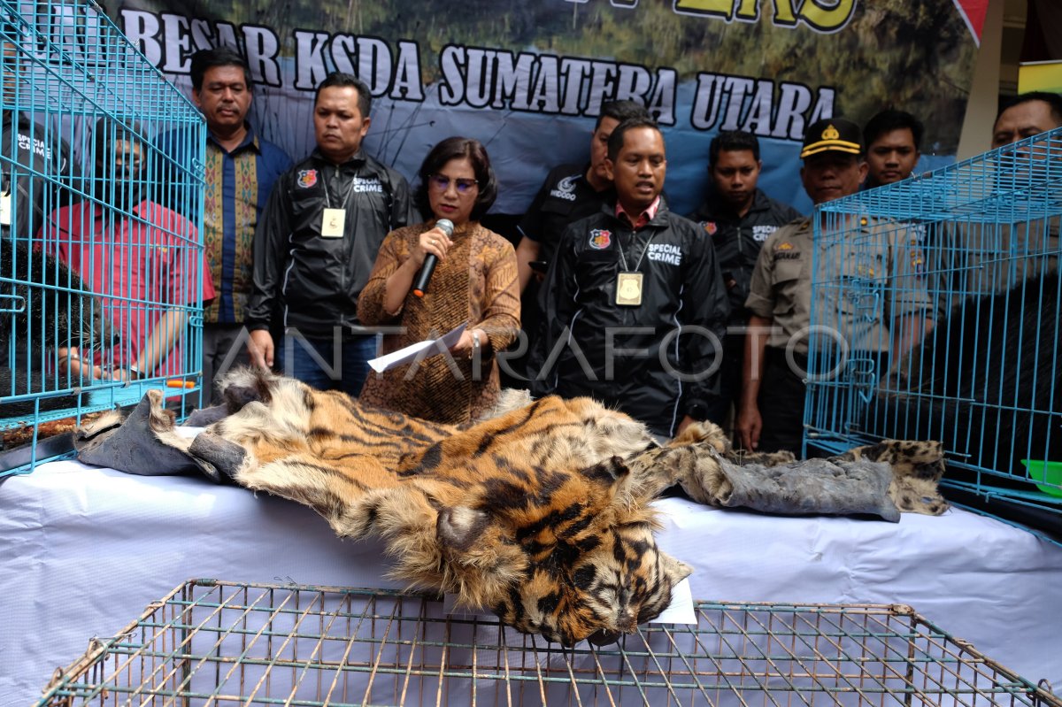 KASUS PERDAGANGAN KULIT SATWA DILINDUNGI | ANTARA Foto