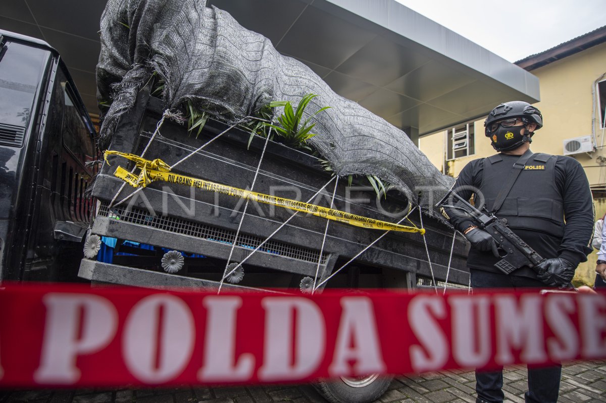 POLDA SUMATERA SELATAN GAGALKAN PENYELUNDUPAN 16 KG SABU | ANTARA Foto