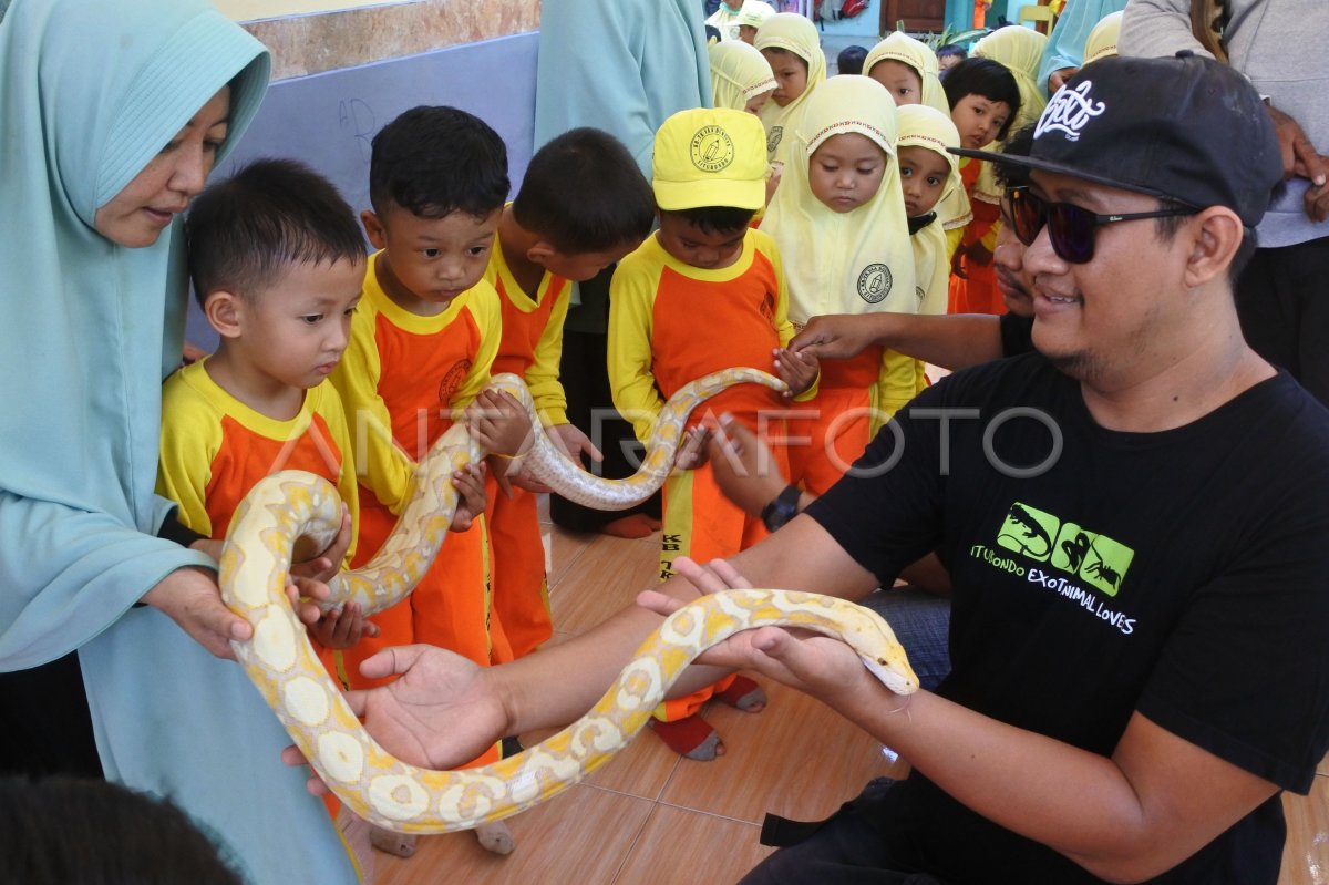 EDUKASI REPTIL DI TAMAN KANAK KANAK | ANTARA Foto
