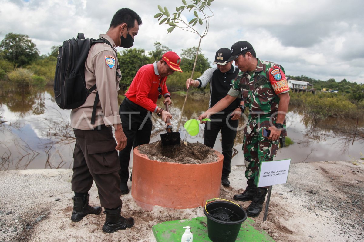 AKSI PENANAMAN BIBIT POHON DI RUANG PUBLIK | ANTARA Foto