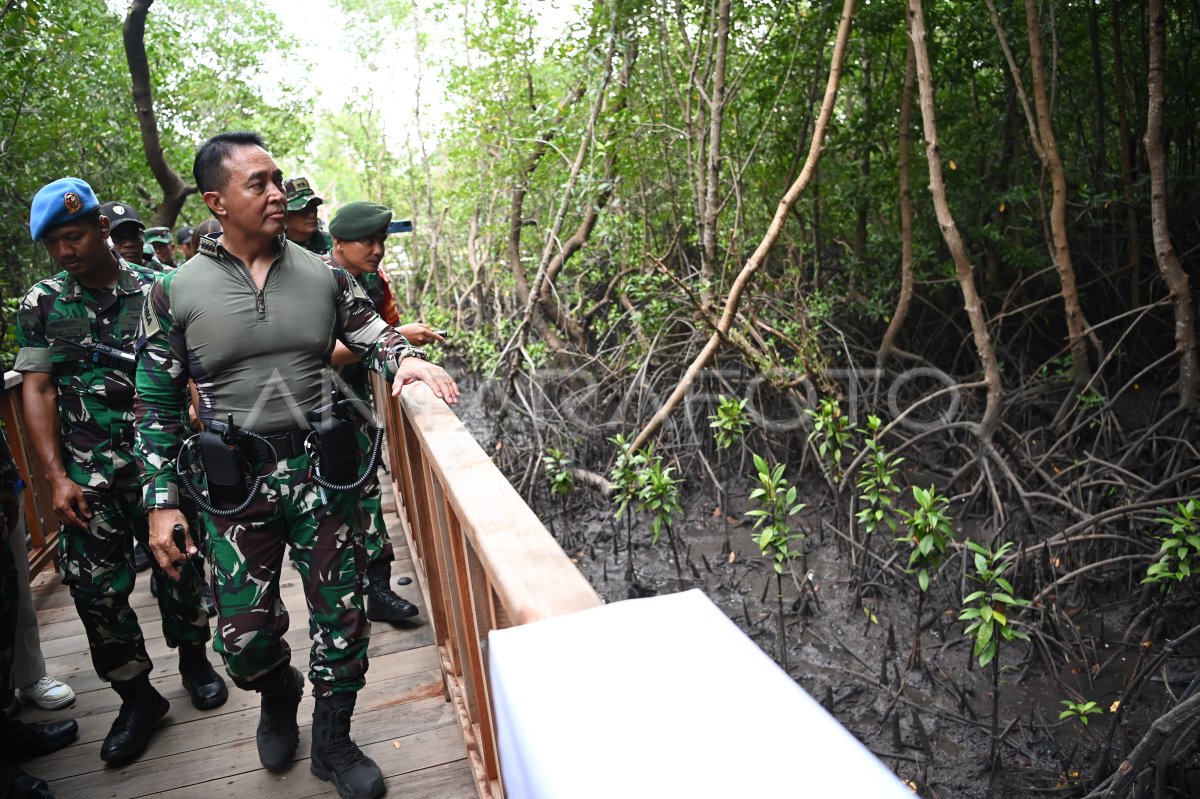 PANGLIMA TNI TINJAU KESIAPAN PENGAMANAN KTT G20 DI TAHURA | ANTARA Foto