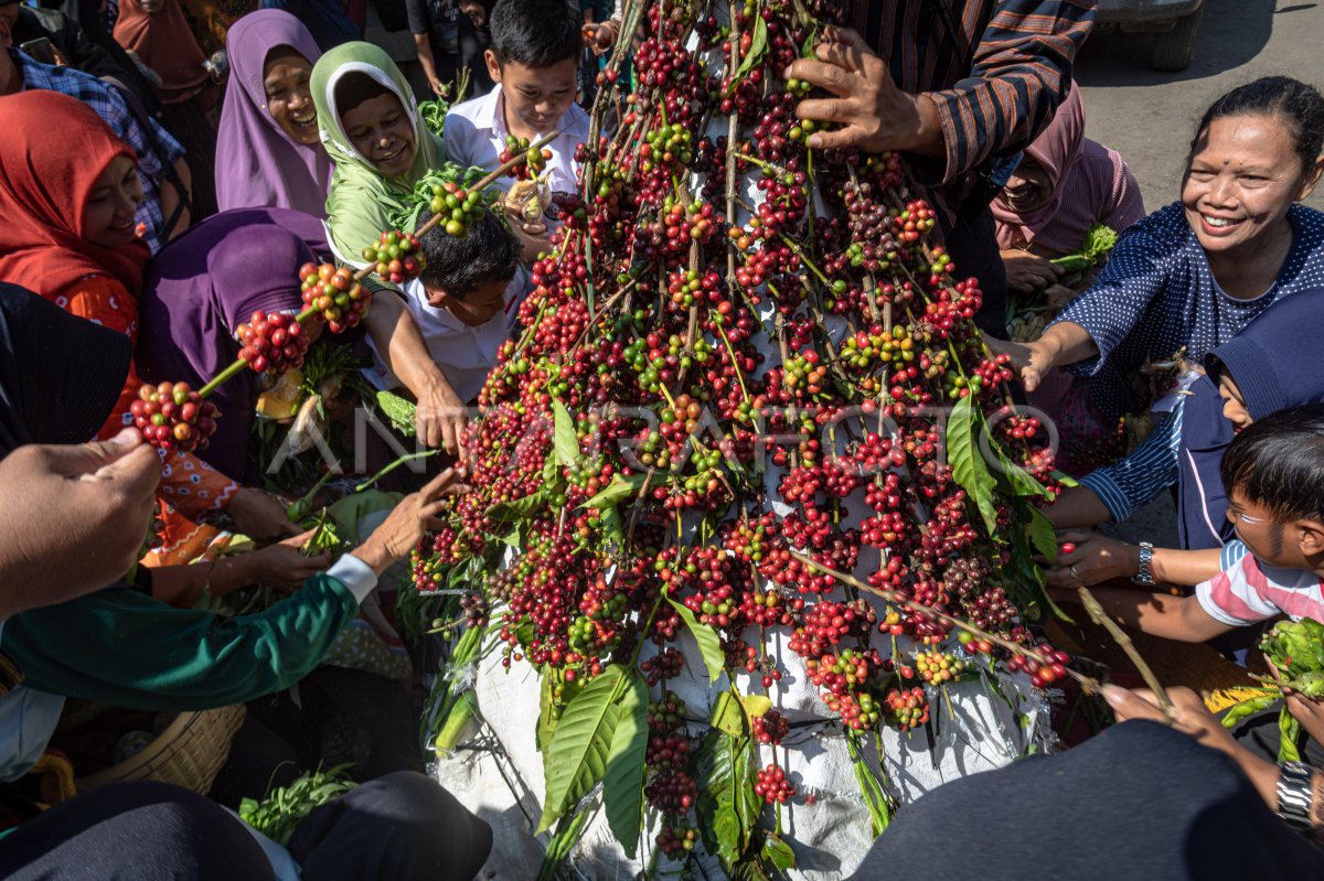 Tradisi wiwit panen raya kopi di Perkebunan Kopi Jollong | ANTARA Foto