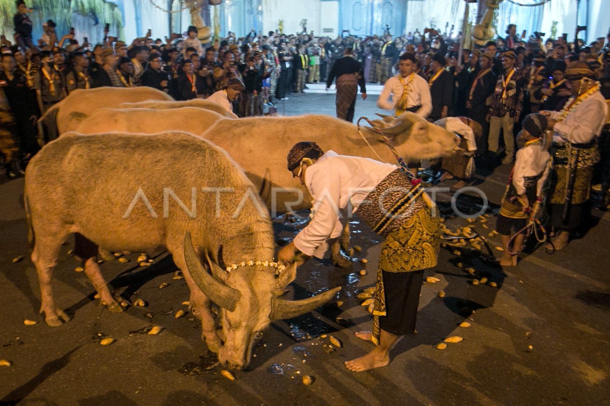 Kirab malam Satu Suro Keraton Kasunanan | ANTARA Foto Kirab malam Satu Suro Keraton Kasunanan | ANTARA Foto