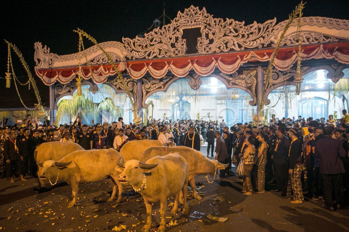 Kirab malam Satu Suro Keraton Kasunanan | ANTARA Foto