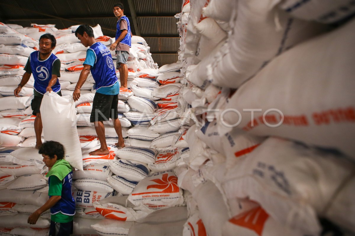 Stok beras nasional 2023 | ANTARA Foto