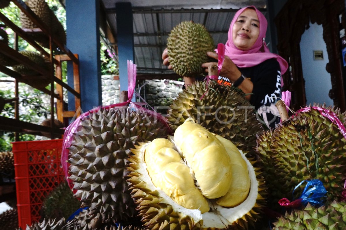 Durian lokal Wonosalam Jombang | ANTARA Foto
