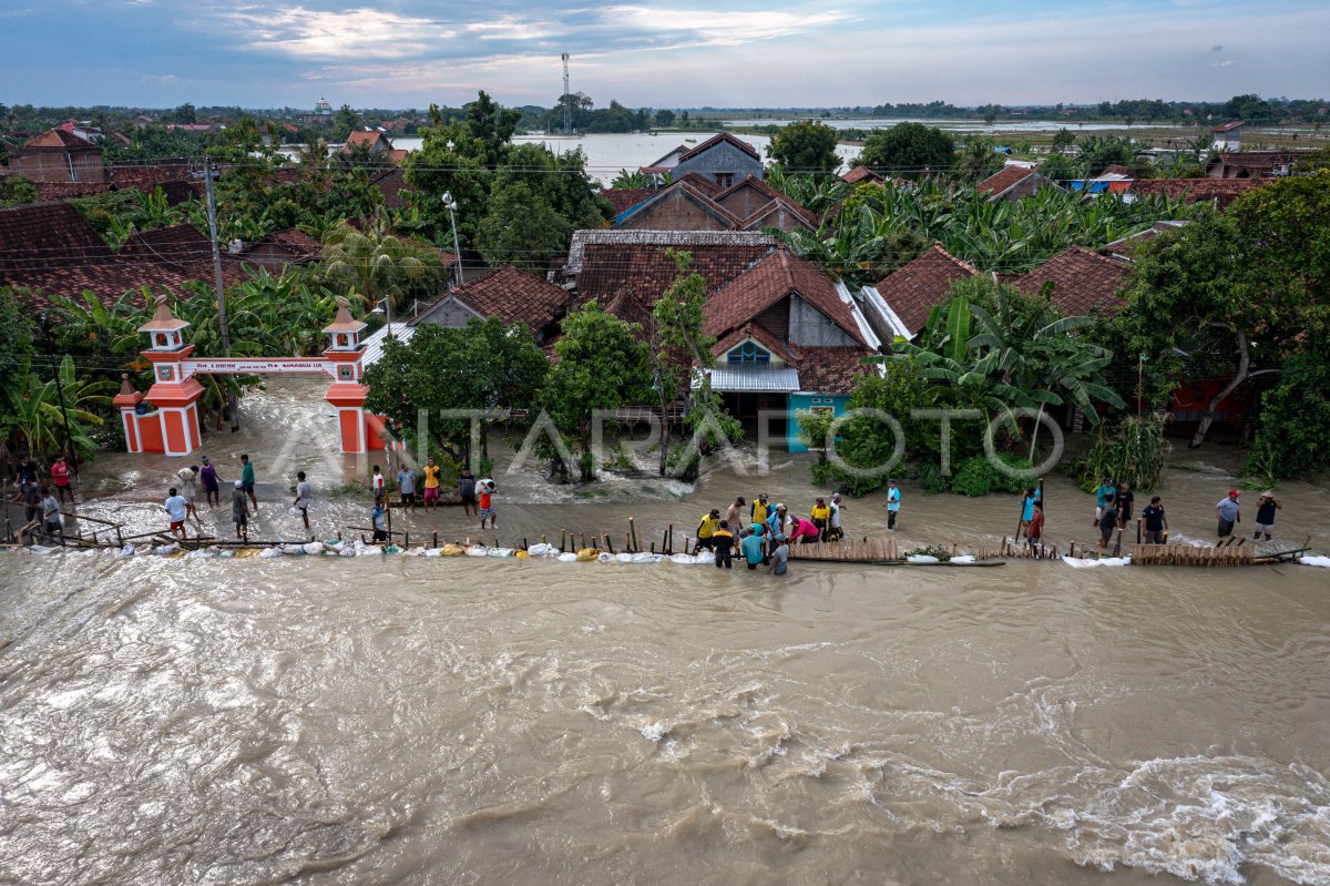 Gotong royong membuat tanggul darurat untuk menahan banjir di Demak | ANTARA Foto