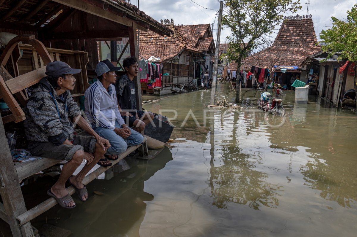 Banjir di Demak berangsur surut | ANTARA Foto