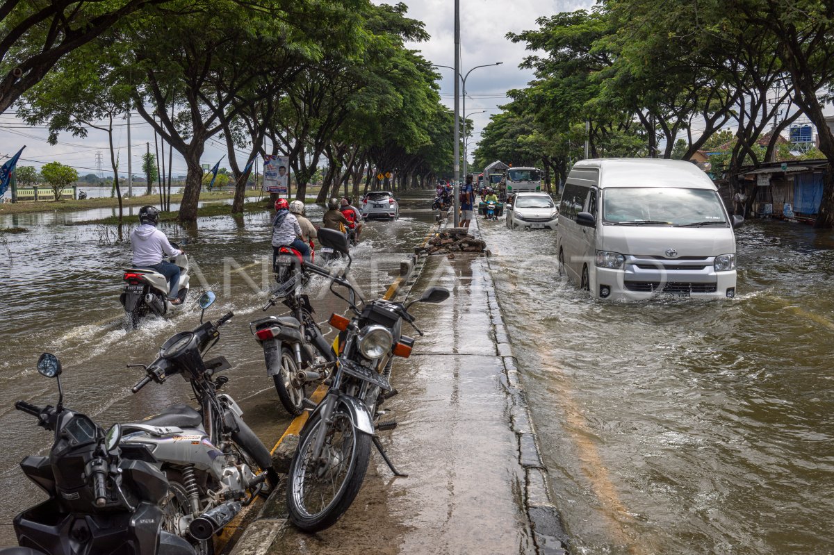 Pembukaan jalan pantura Demak-Kudus | ANTARA Foto Pembukaan jalan pantura Demak-Kudus | ANTARA Foto
