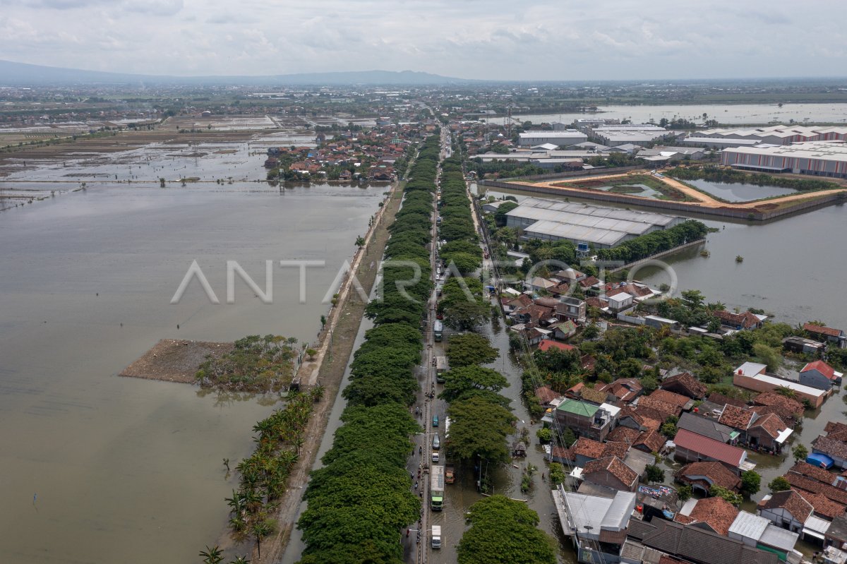Pembukaan jalan pantura Demak-Kudus | ANTARA Foto Pembukaan jalan pantura Demak-Kudus | ANTARA Foto