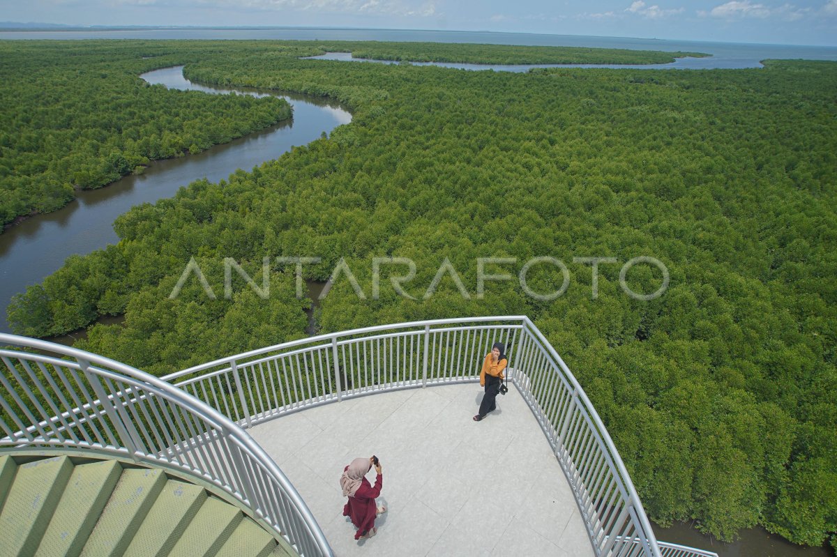 Tower Mangrove menjadi landmark Kota Langsa | ANTARA Foto