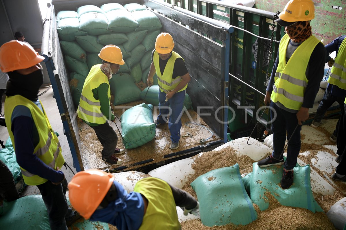 Serapan beras dalam negeri capai 535 ribu ton | ANTARA Foto