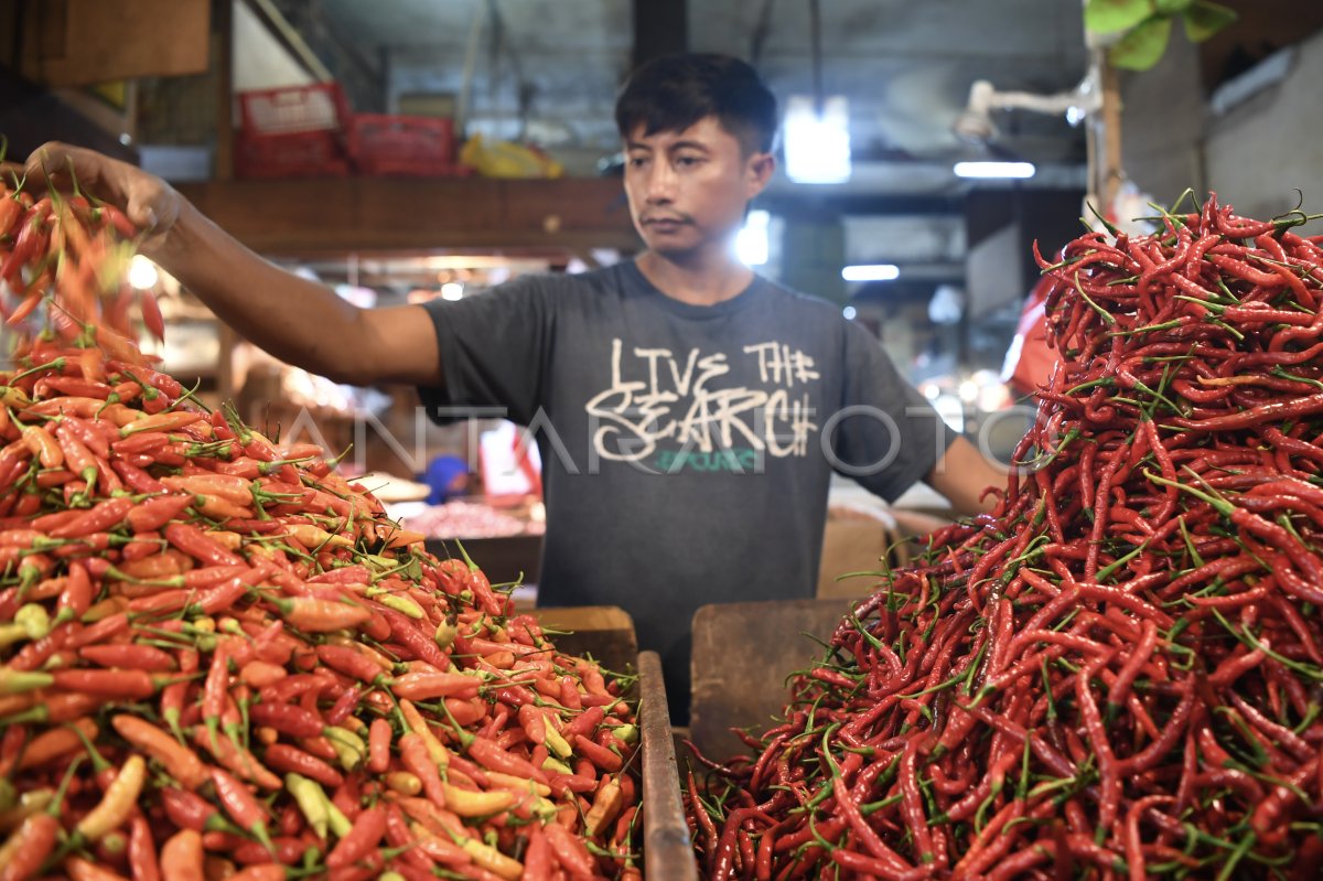 Harga cabai rawit naik | ANTARA Foto Harga cabai rawit naik | ANTARA Foto