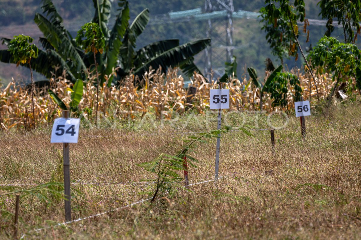 Rencana relokasi warga terdampak proyek Bendungan Jragung | ANTARA Foto Rencana relokasi warga terdampak proyek Bendungan Jragung | ANTARA Foto