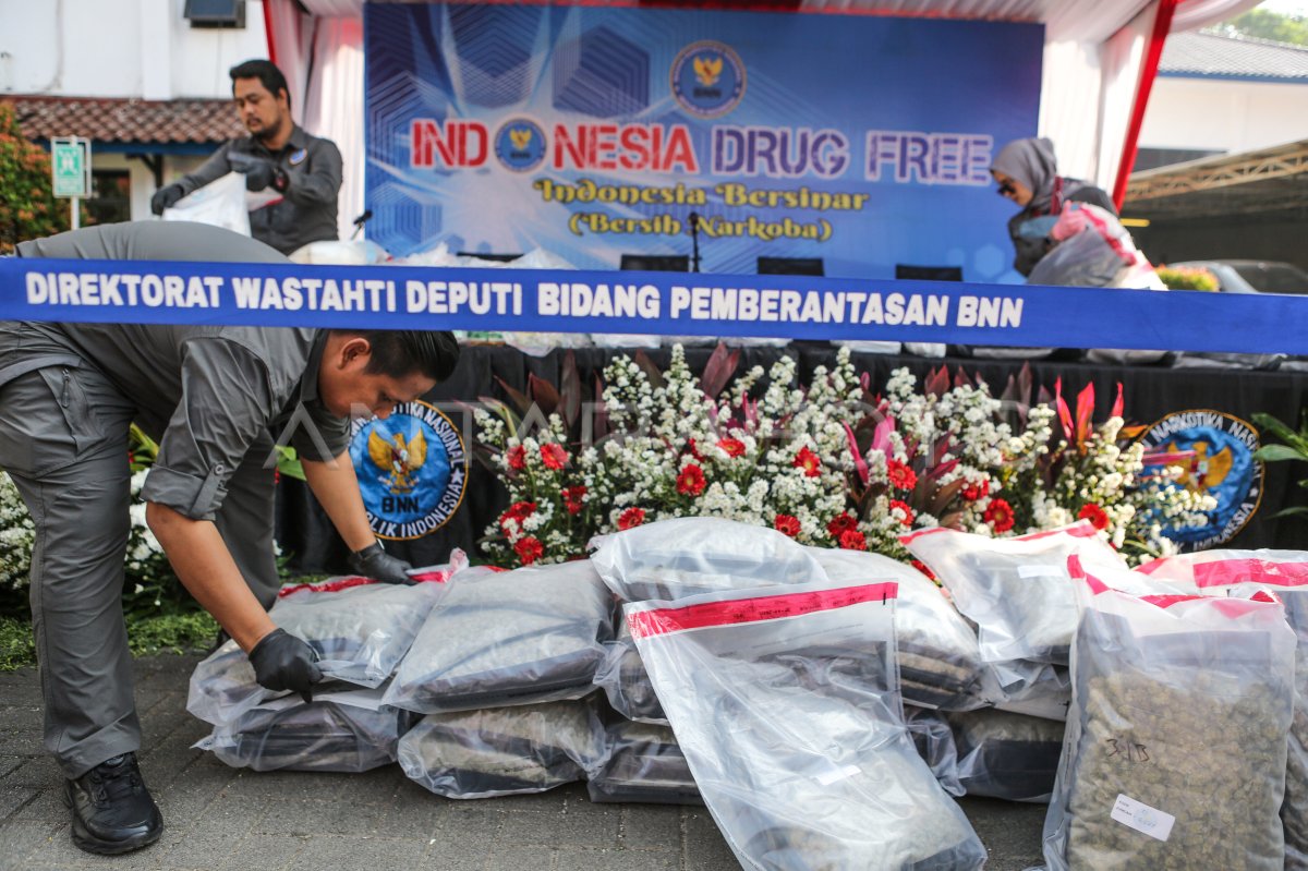 BNN musnahkan barang bukti narkotika | ANTARA Foto