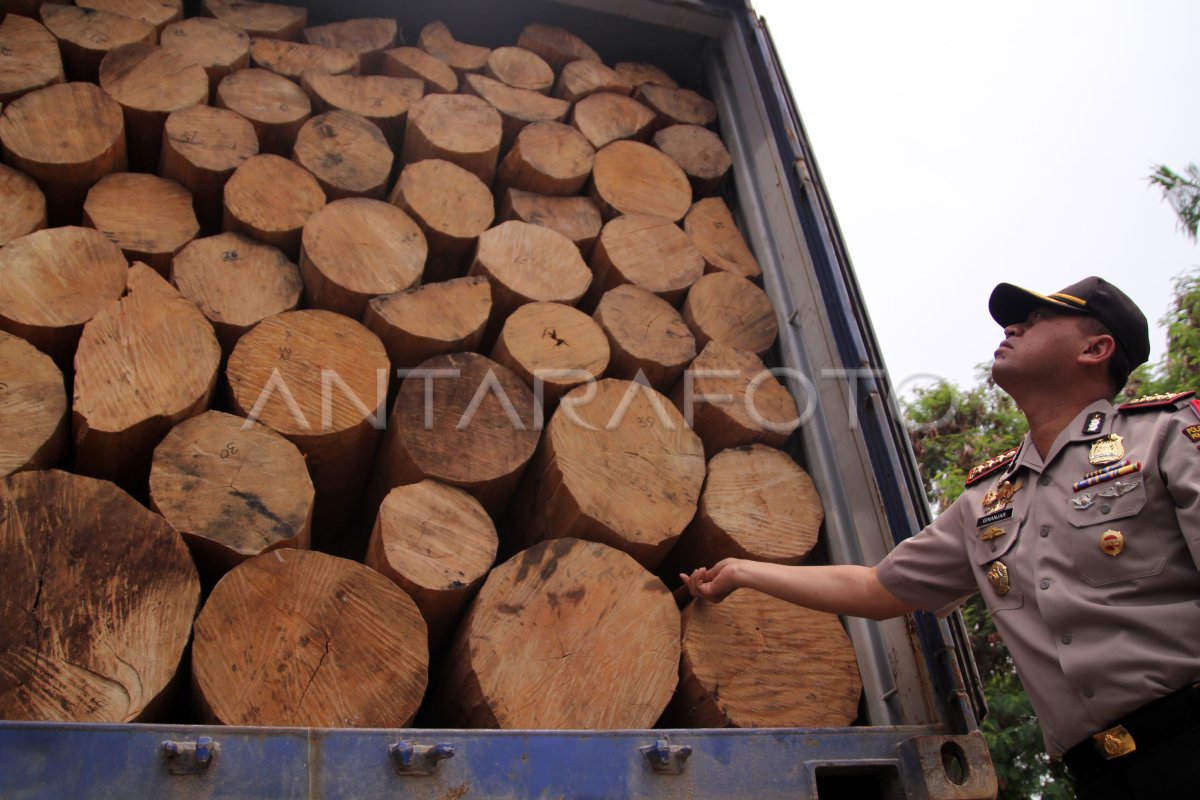 KAYU ILEGAL | ANTARA Foto