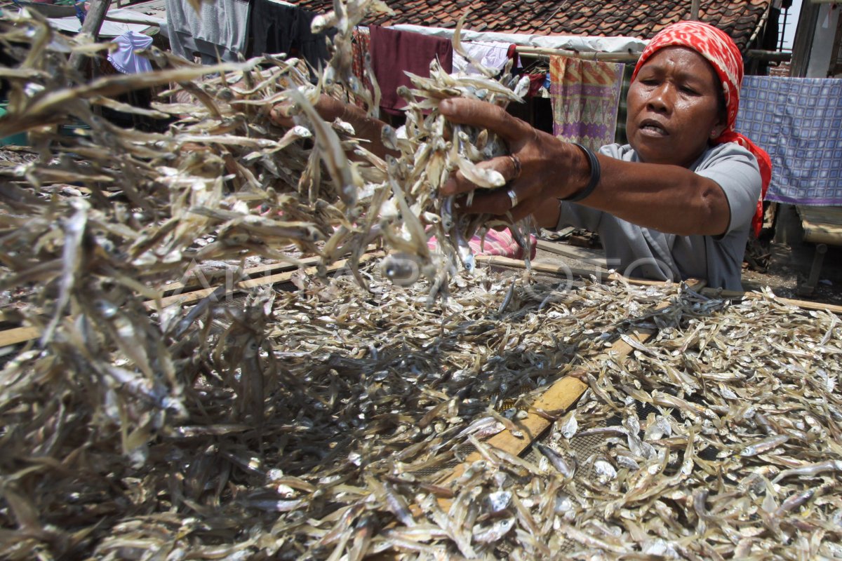 TINGKATKAN PEMANFAATAN UNIT PENGOLAHAN IKAN | ANTARA Foto