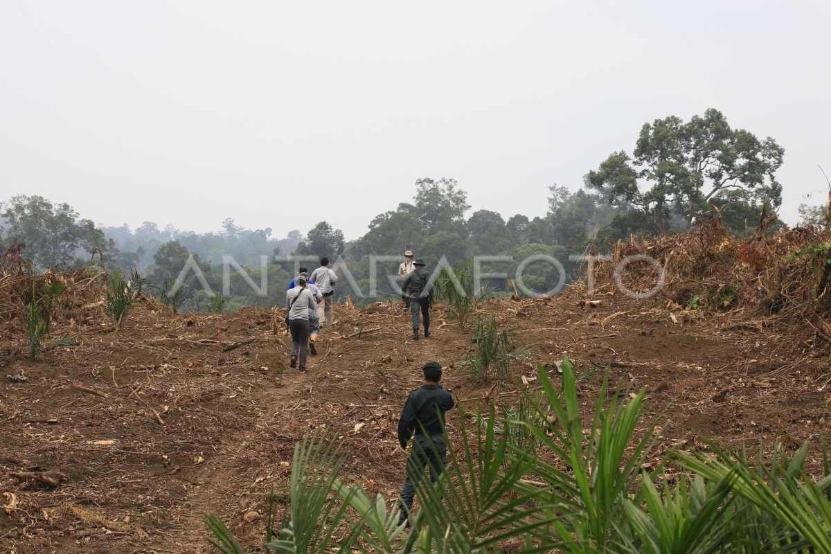 Investigasi Suaka Margasatwa Antara Foto
