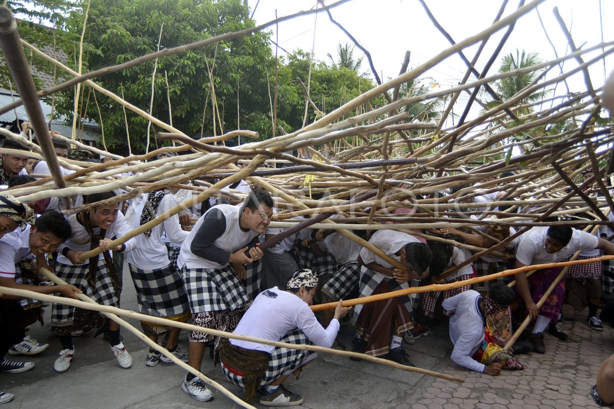 TRADISI MEKOTEK | ANTARA Foto