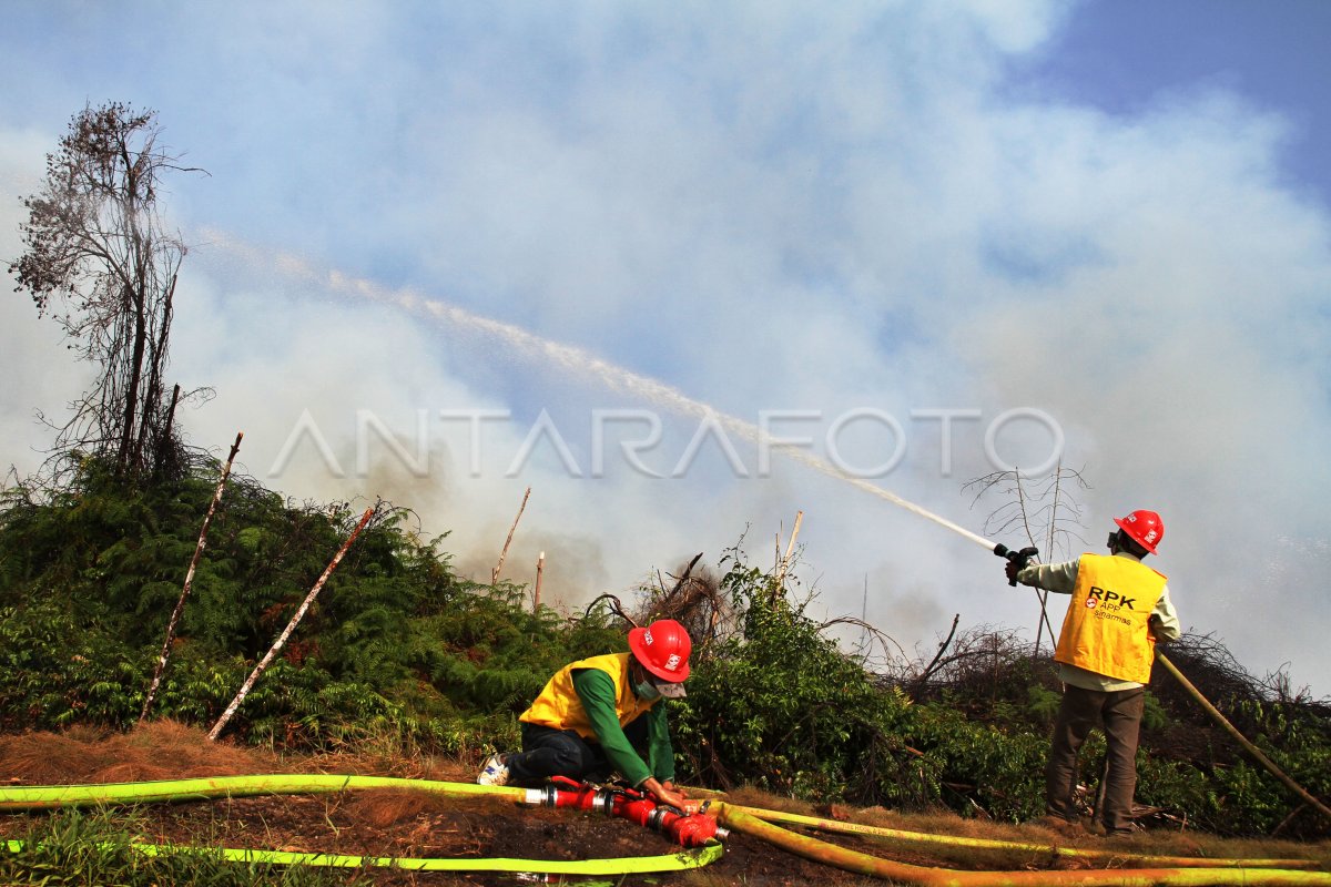KEBAKARAN HUTAN DAN LAHAN RIAU | ANTARA Foto