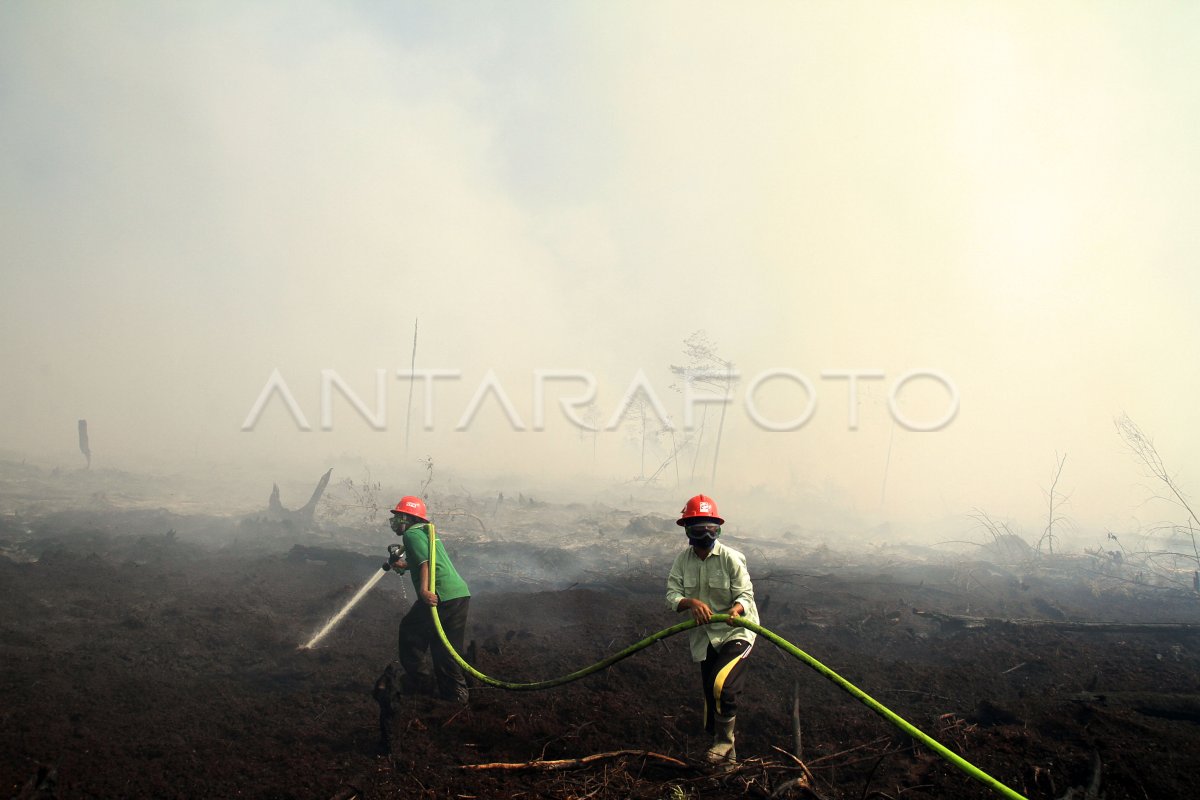 KEBAKARAN HUTAN DAN LAHAN RIAU | ANTARA Foto
