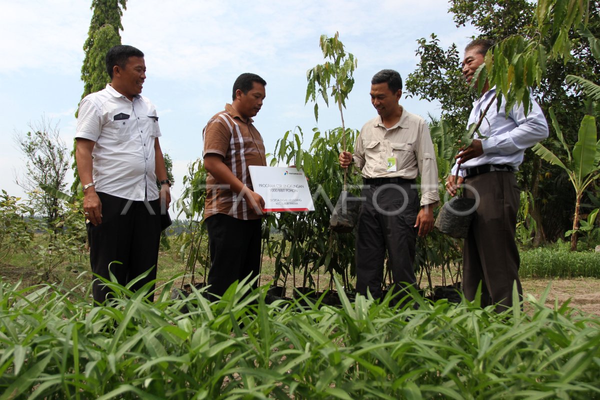 CSR LINGKUNGAN PERTAGAS | ANTARA Foto CSR LINGKUNGAN PERTAGAS | ANTARA Foto