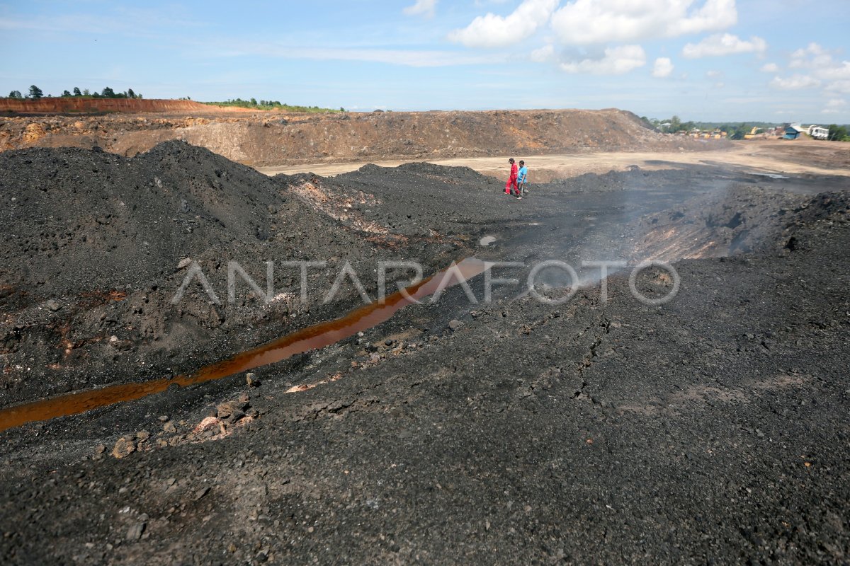 PRODUKSI BATUBARA NASIONAL TURUN | ANTARA Foto