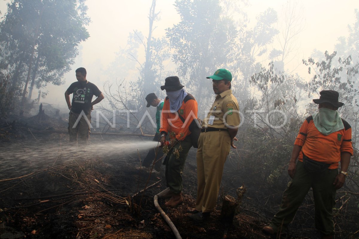 KEBAKARAN LAHAN GAMBUT RIAU | ANTARA Foto