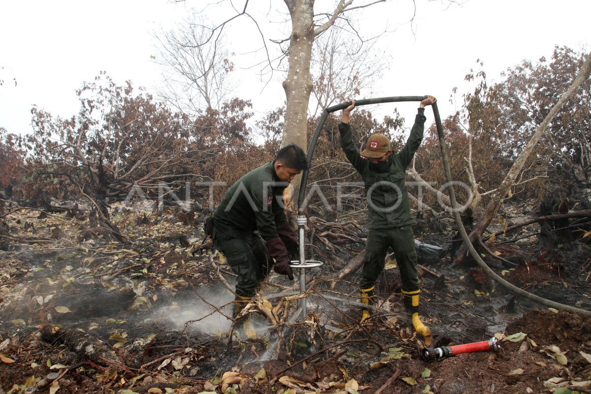 PEMADAMAN KEBAKARAN HUTAN RIAU | ANTARA Foto