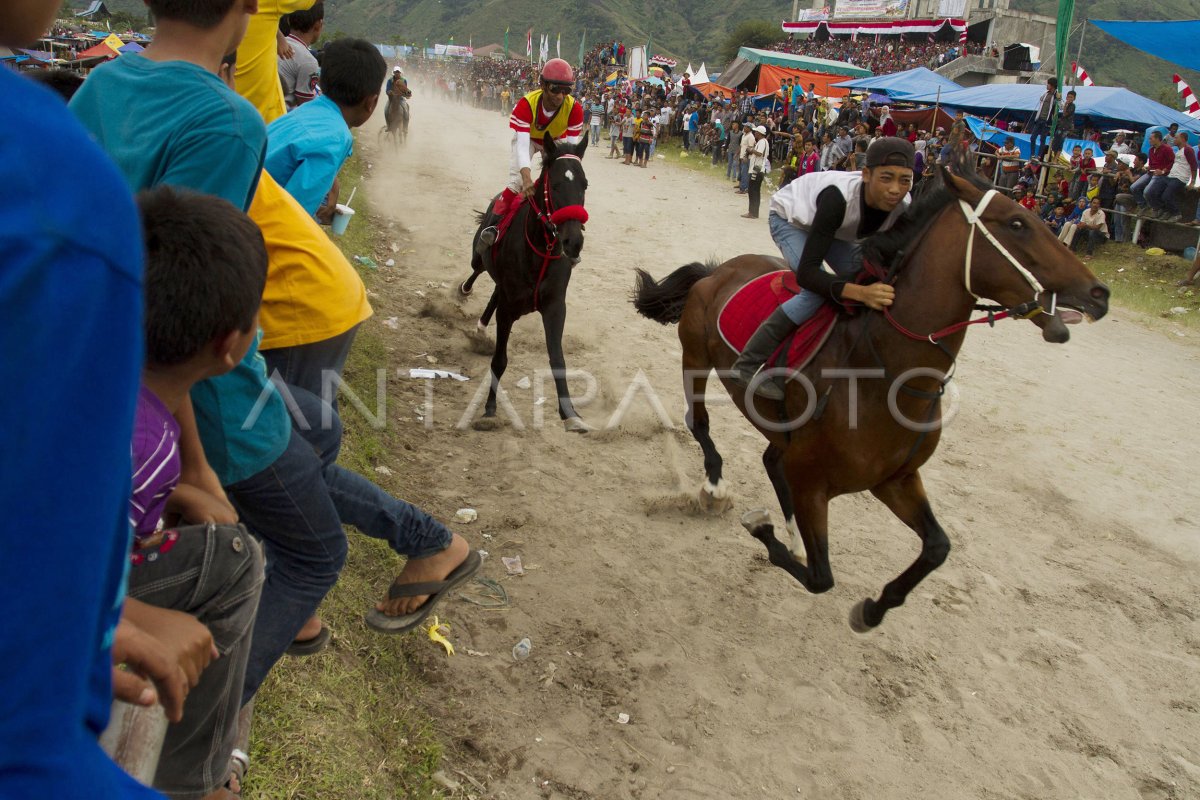 PACUAN KUDA GAYO | ANTARA Foto PACUAN KUDA GAYO | ANTARA Foto
