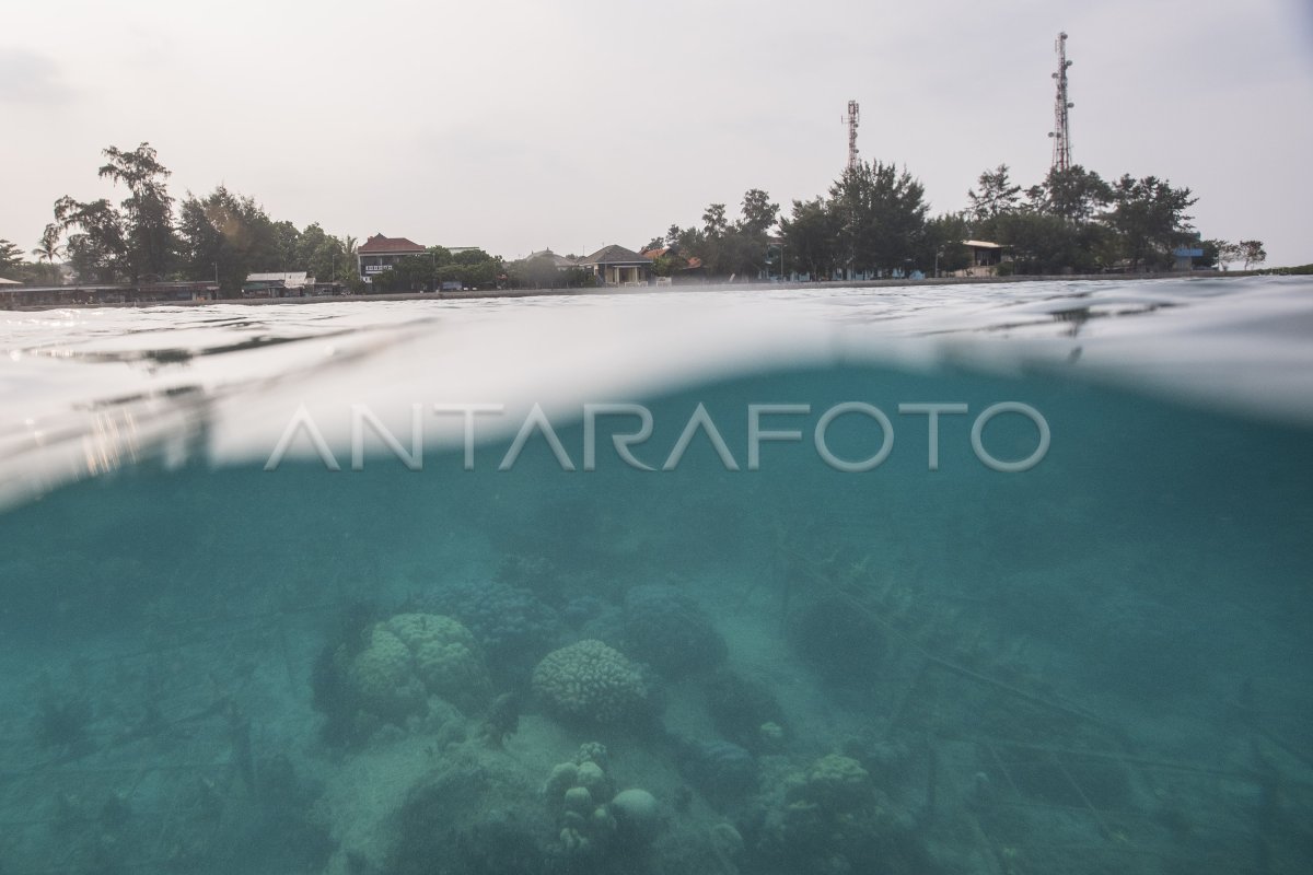 WISATA BAHARI | ANTARA Foto