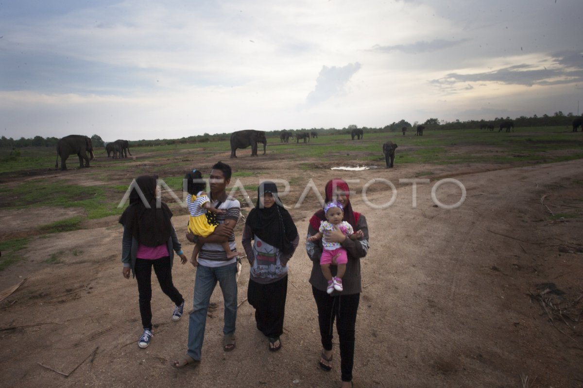 WISATA TAMAN NASIONAL WAY KAMBAS | ANTARA Foto