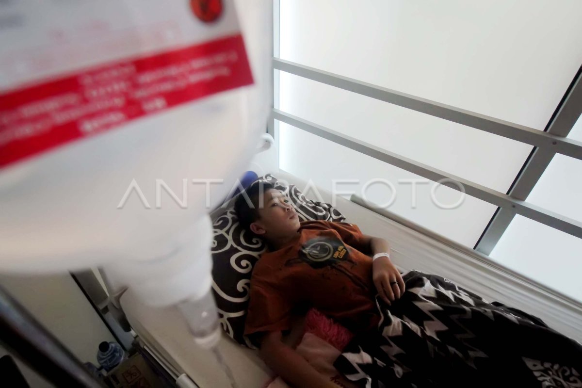 KASUS DBD MENINGKAT | ANTARA Foto KASUS DBD MENINGKAT | ANTARA Foto
