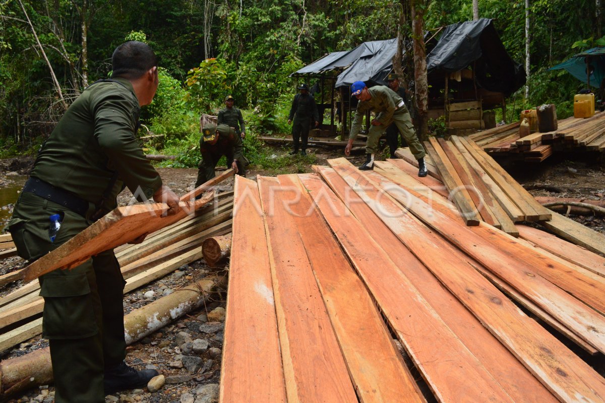 KAYU OLAHAN ILEGAL | ANTARA Foto
