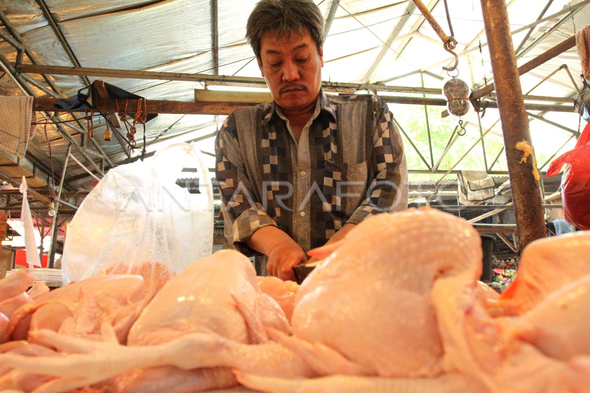 KENAIKAN HARGA DAGING AYAM | ANTARA Foto