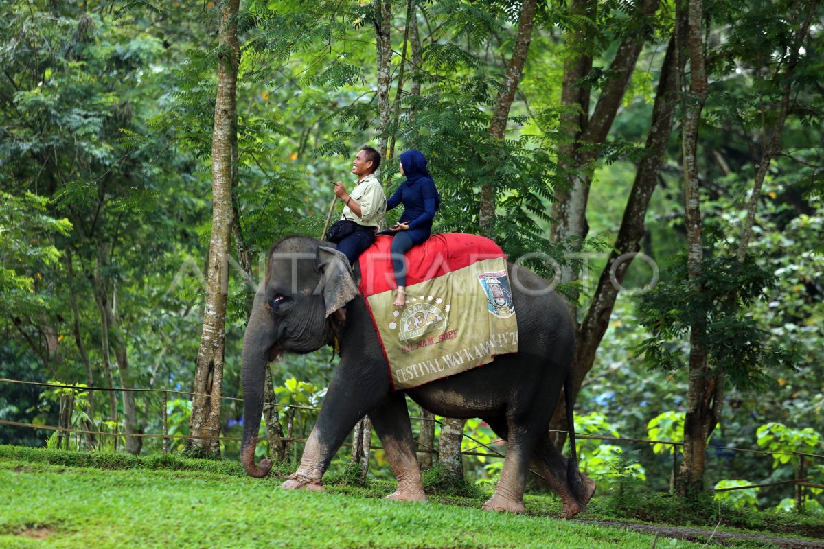 WISATA WAY KAMBAS LAMPUNG | ANTARA Foto