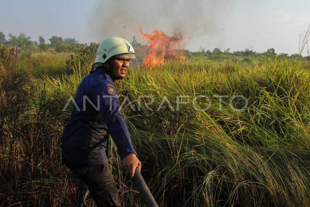UPAYA PEMADAMAN KEBAKARAN LAHAN | ANTARA Foto