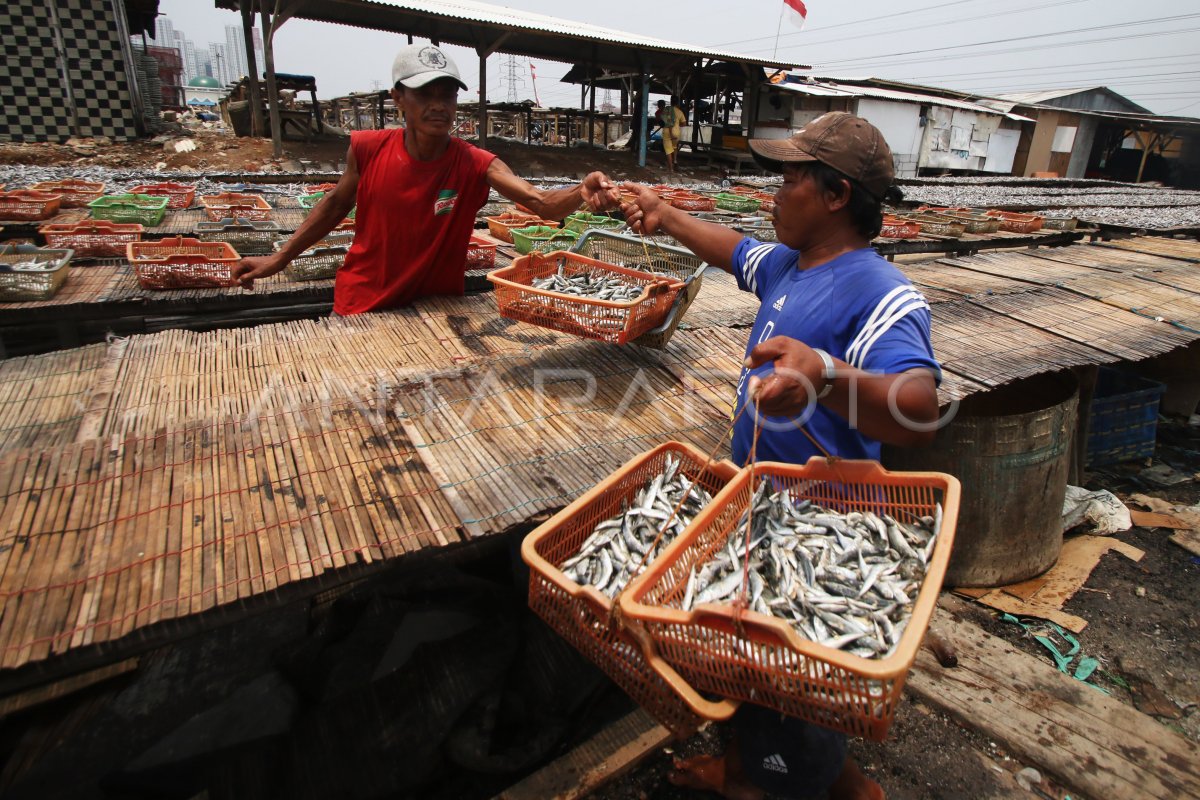 PRODUKSI IKAN ASIN MENINGKAT | ANTARA Foto